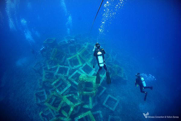 Kerama Islands Diving | VISIT OKINAWA JAPAN | Official Okinawa Travel Guide