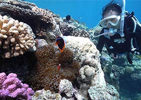 Okinawa Events | VISIT OKINAWA JAPAN | Official Okinawa Travel Guide