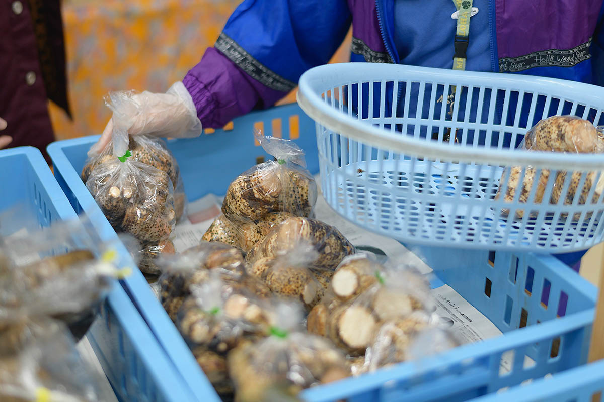 A Gourmet Adventure in Okinawa | VISIT OKINAWA JAPAN | Official Okinawa ...