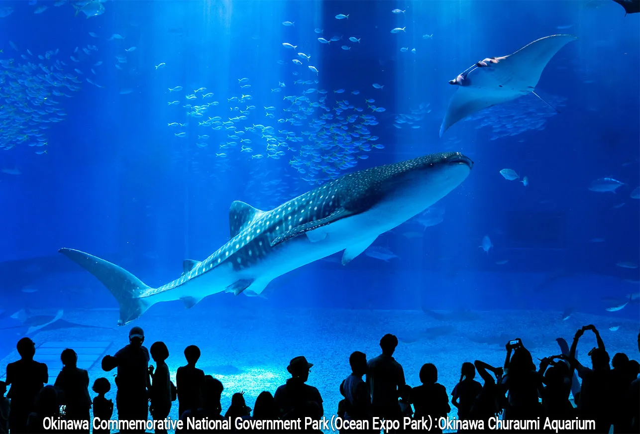 A 3-Day Journey Through Okinawa’s Main Island | VISIT OKINAWA JAPAN ...